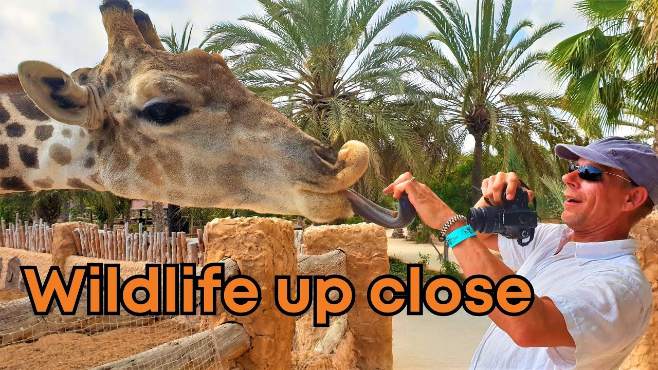 Exploring Rio Safari Elche: Europe's Premier Wildlife Park Experience ...