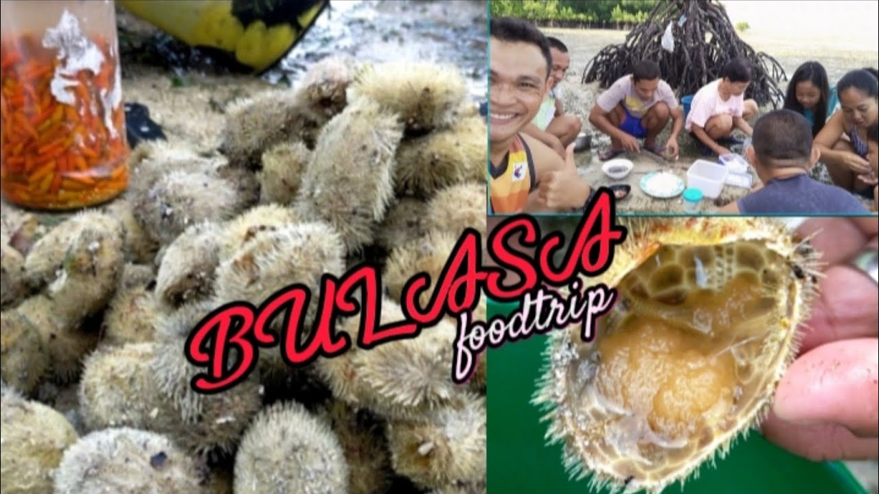 BULASA FOODTRIP|MOALBOAL CEBU - YouTube