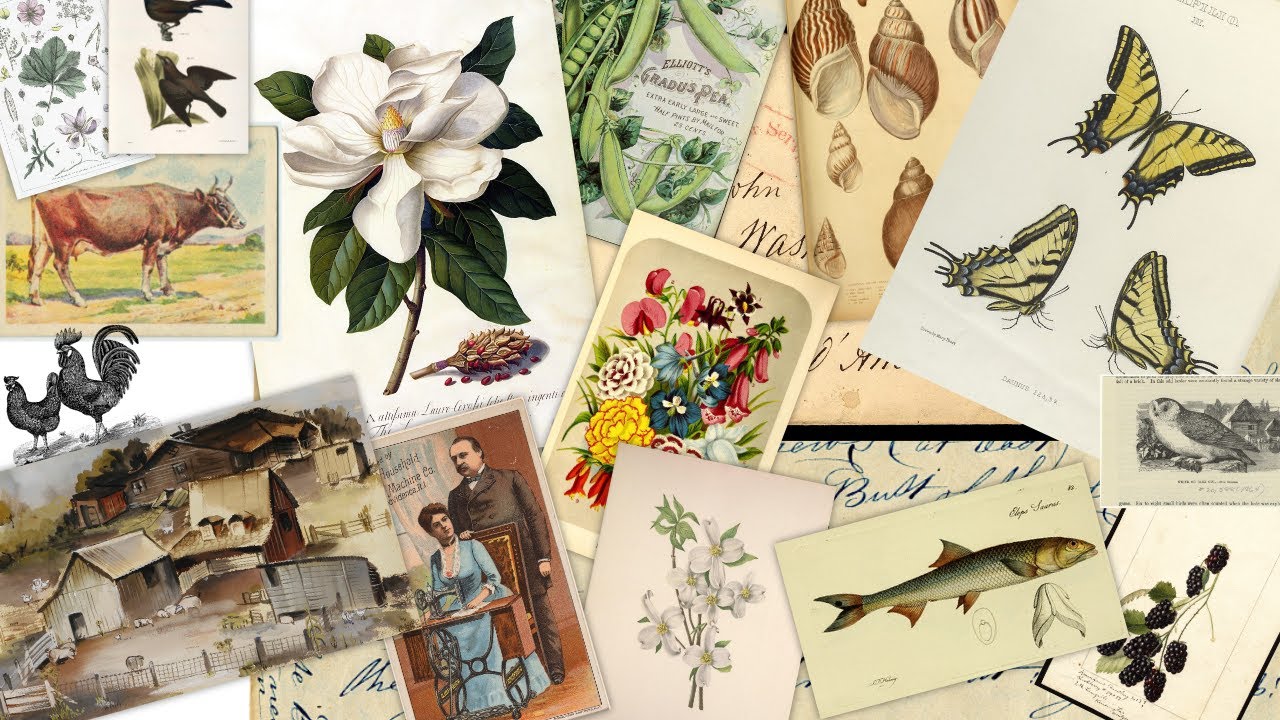 Get READY to Craft with the BEST Free Vintage Public Domain Images ...