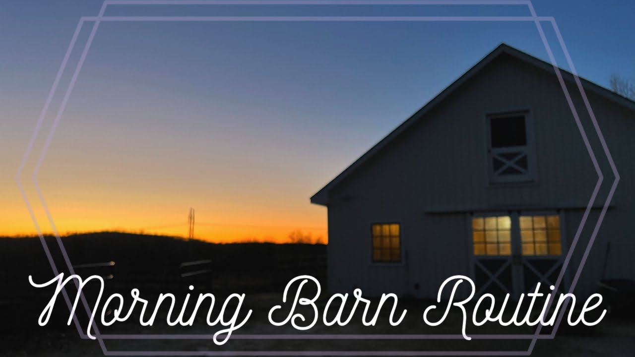 MORNING BARN ROUTINE & Feeding the Horses | Winter 2023 Barn Chores ...