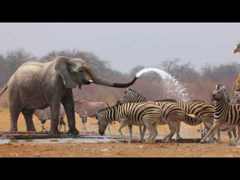 Namibia - YouTube