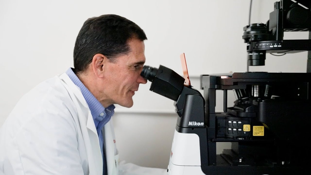 Ensuring a safe, healthy blood supply | Versiti Blood Research ...