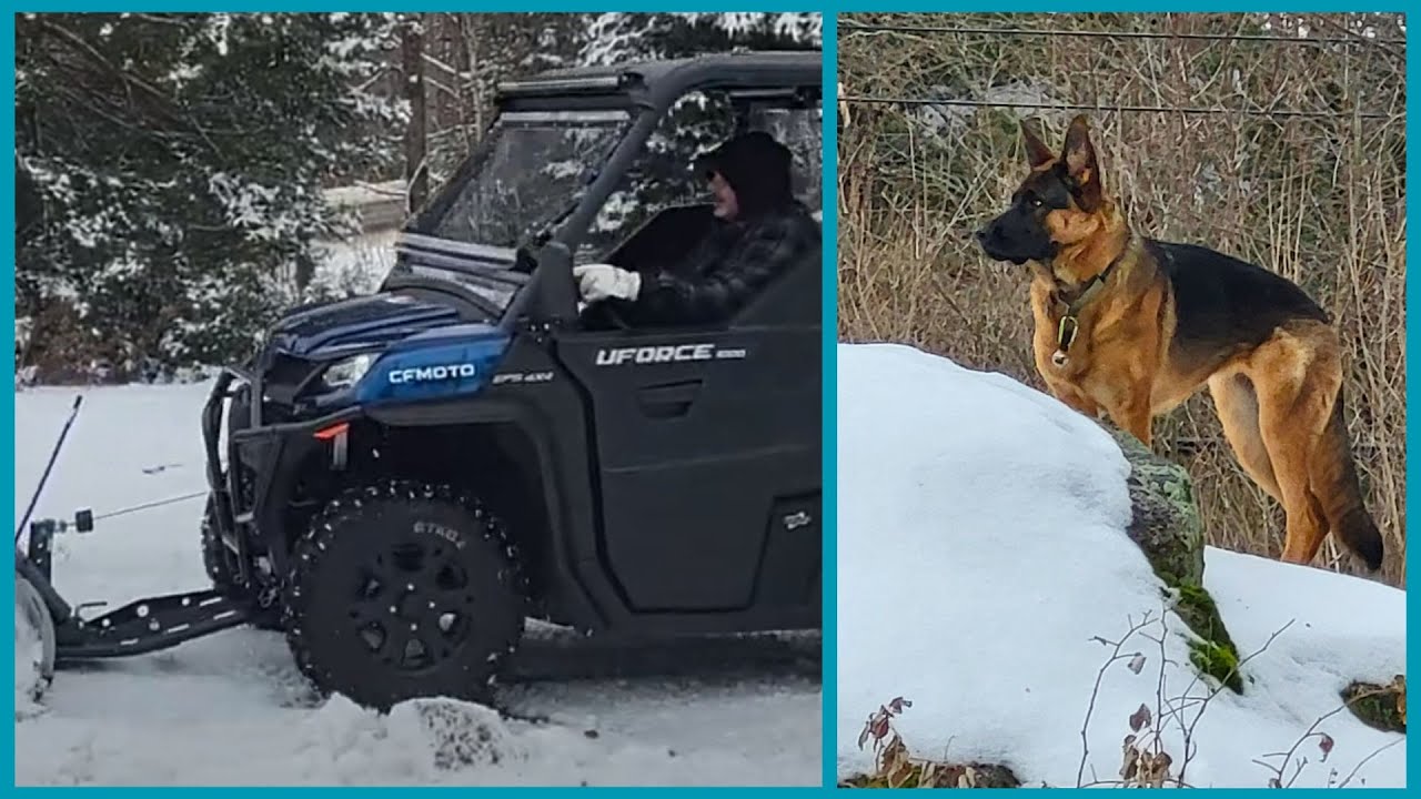 Cabin Projects, Plowing with the UForce 1000, Kimber's Antics + Mystery ...