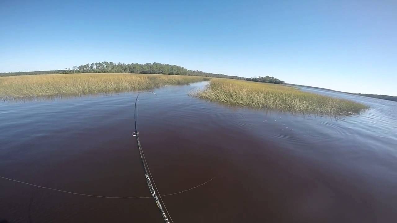 Redfish in Charleston SC Wando River with Raymond - YouTube