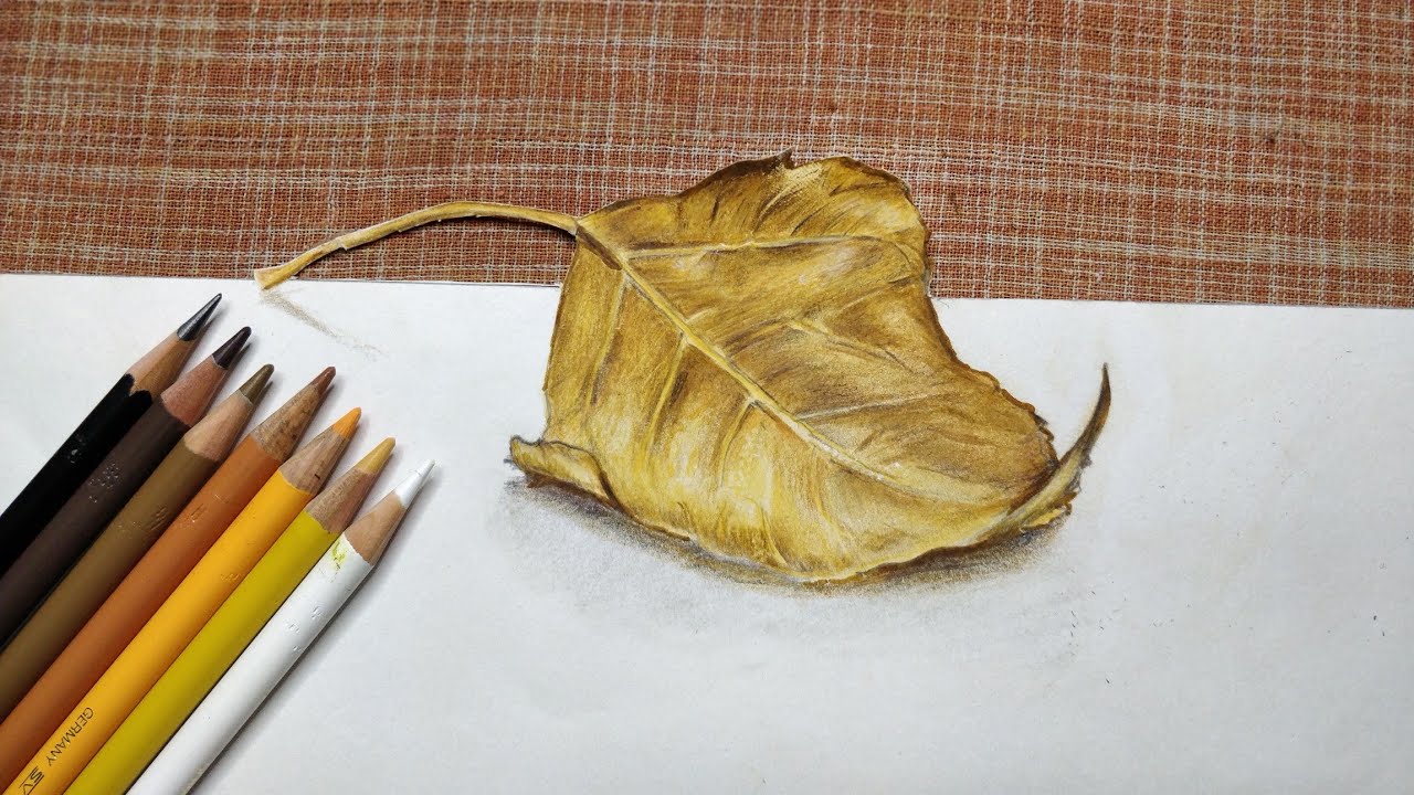 how I draw #3d #leaves | இலை ஓவியம் | dry leaves | pencil sketch | one ...