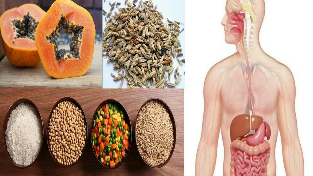 How To Improve Digestive System | Best Foods For Digestion | Improve ...