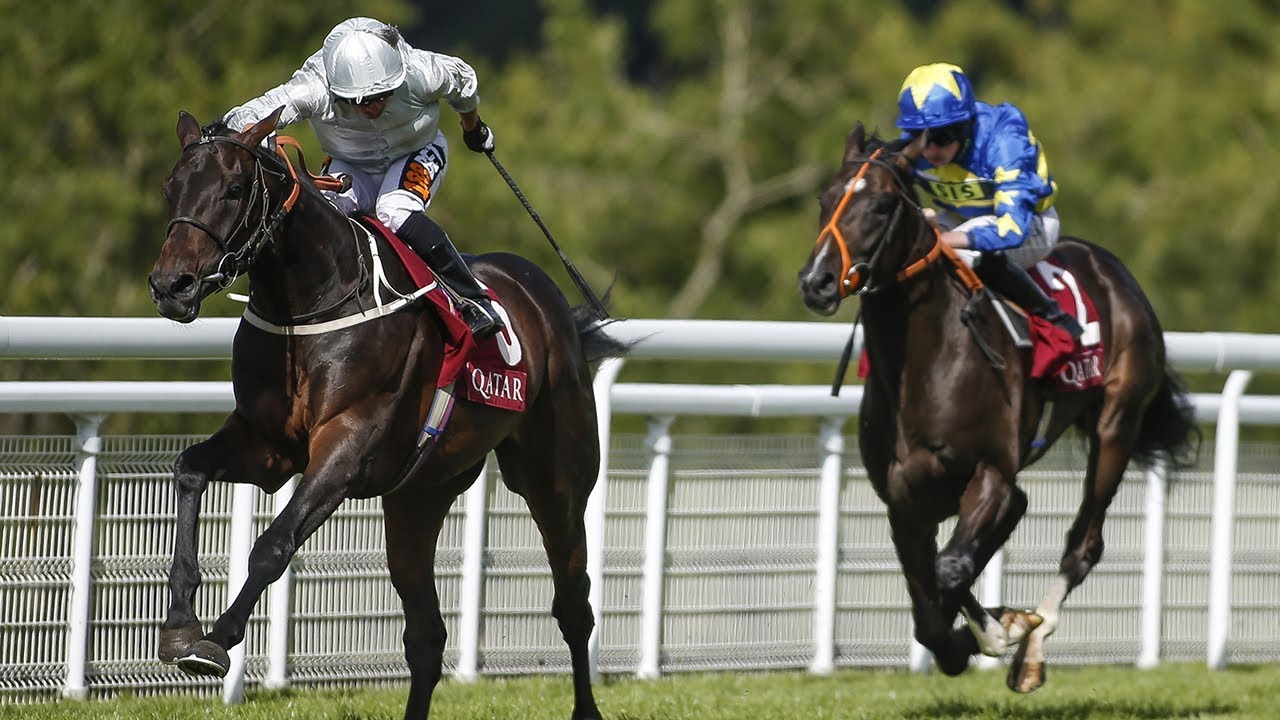 Mark Johnston on Dee Ex Bee, Mildenberger and his St Leger plans - YouTube