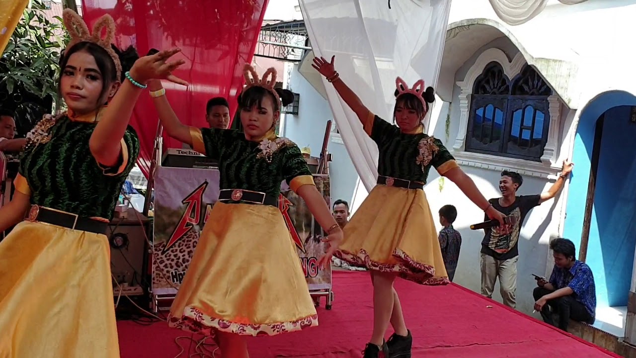 Kucing Garong|Episode 0597 - YouTube