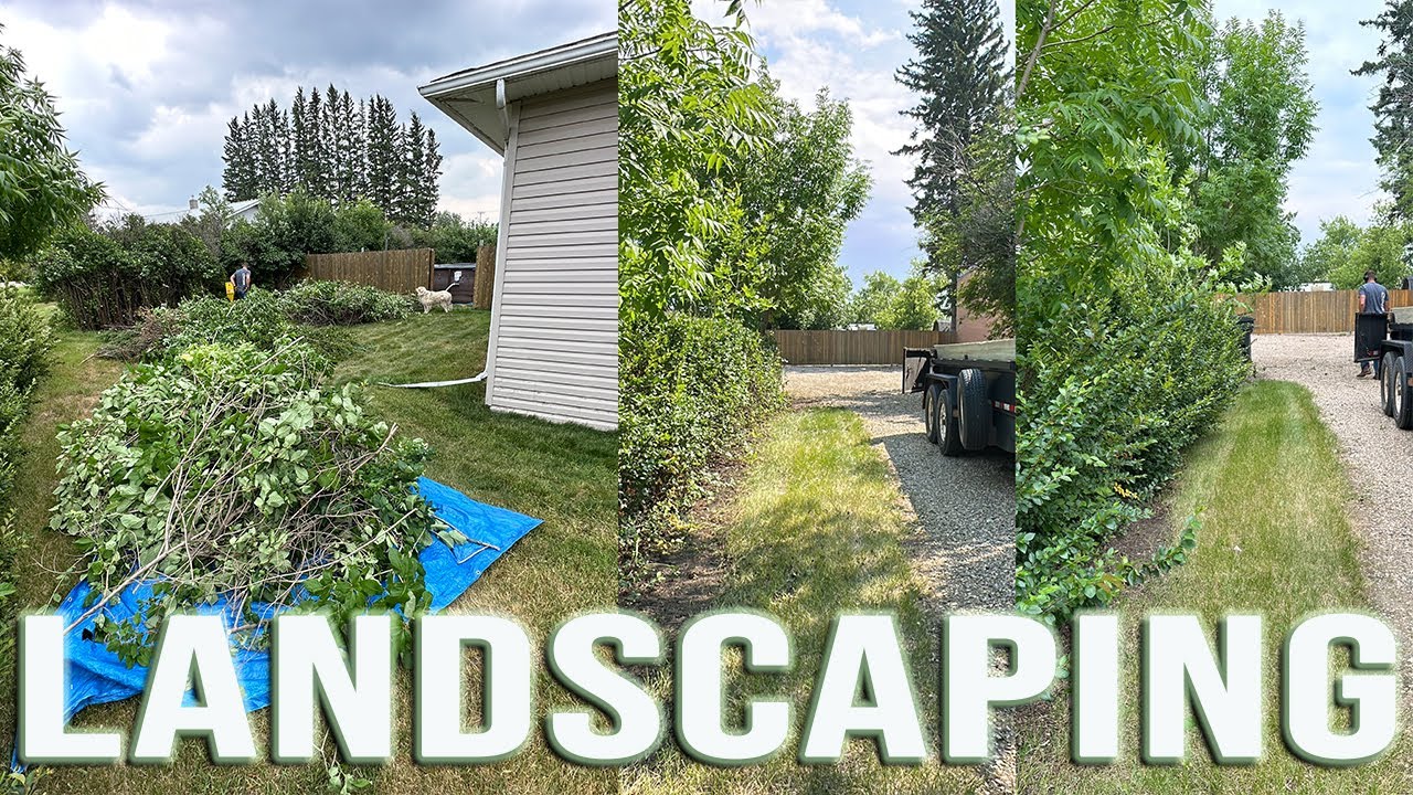 Landscaping || Long Weekend Part 2 - YouTube