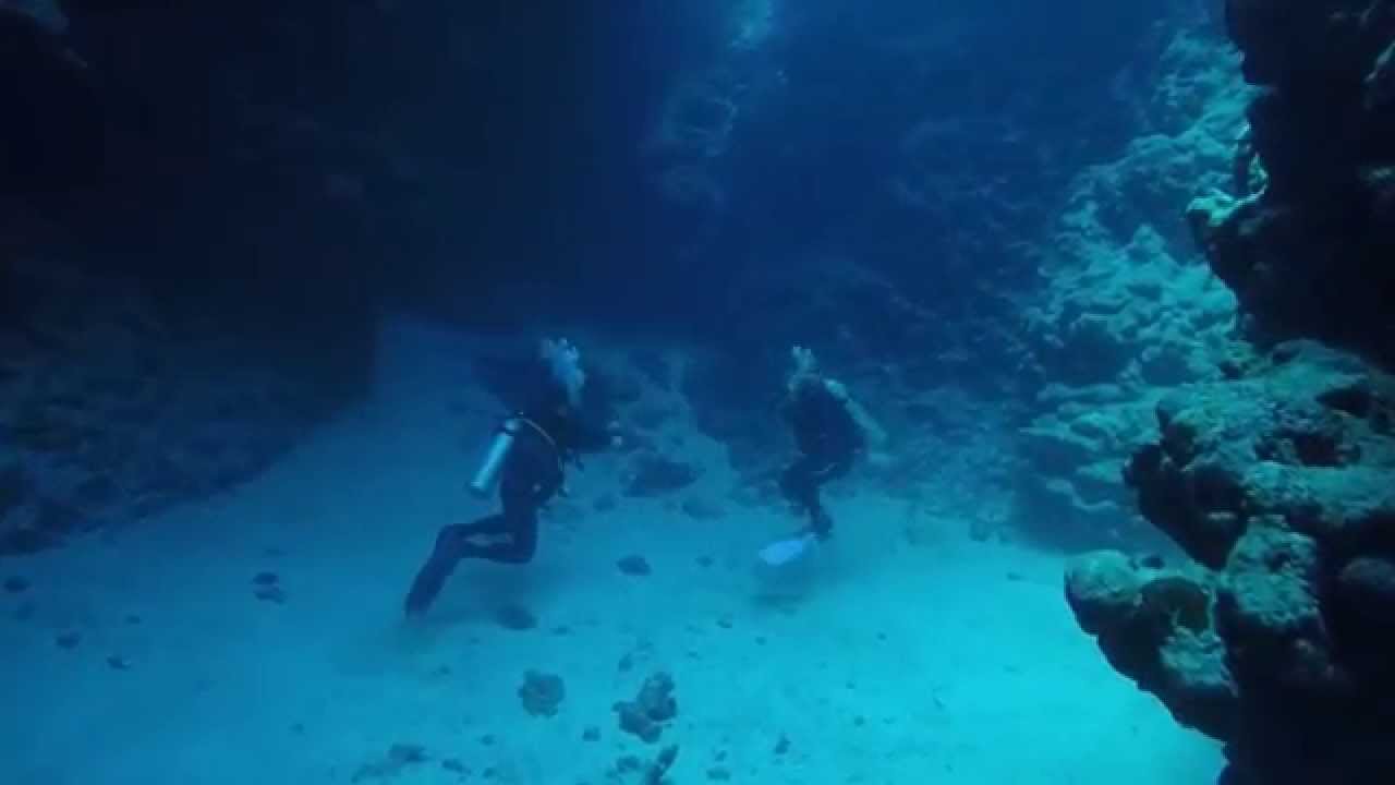 Underwater Fight - YouTube