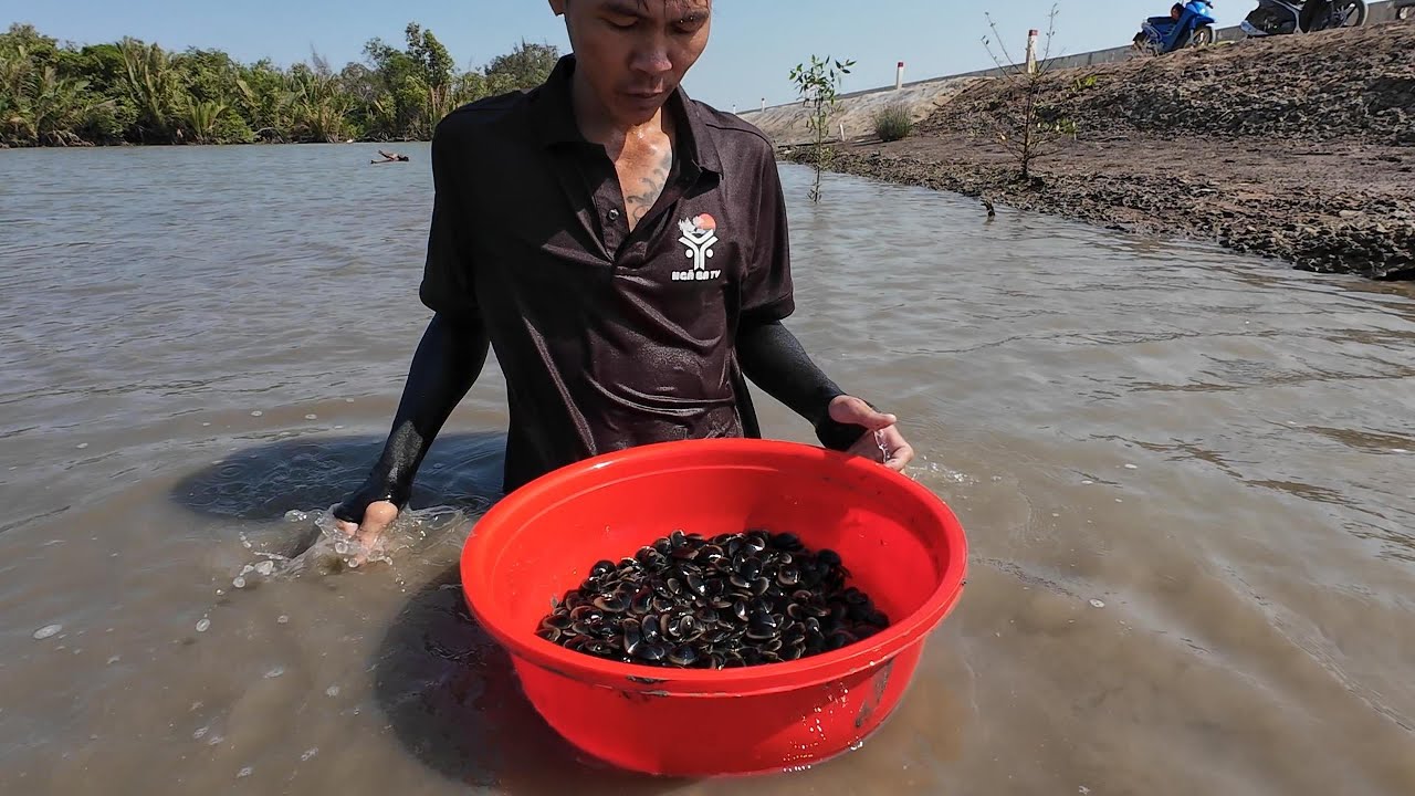 #5.Mò con Chang Chang.Đặc sản sông nước Việt Nam. ( Vietnamese life TV ...