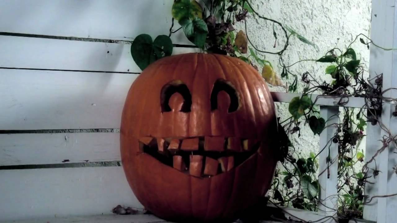Singing Pumpkin "I Love Halloween" - YouTube