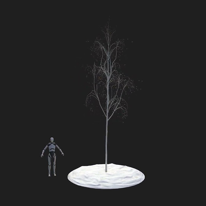 Birch Winter V5 Gamedev 3dmodeling Unity Unityassetstore Unityasset Speedtree Youtube