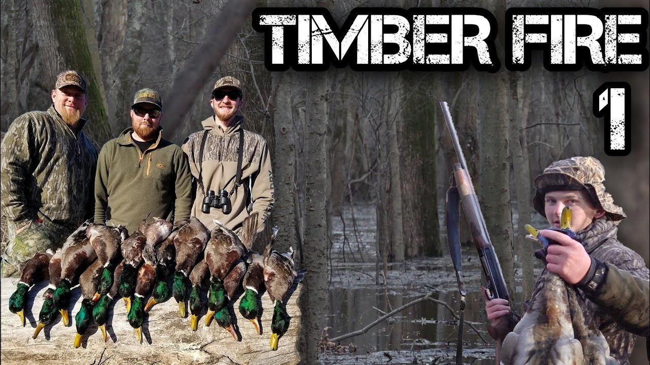NON-STOP Timber Duck Hunting (Best Hunts All in One) Full Movie - YouTube
