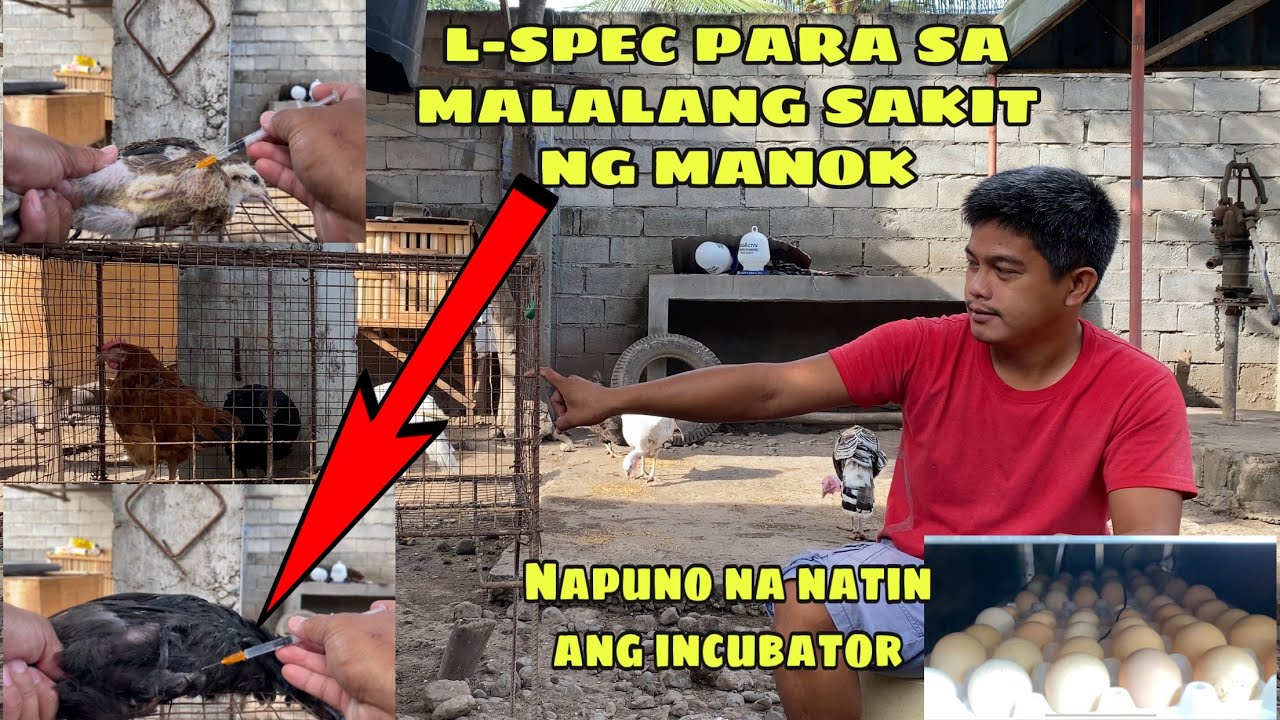 PARAAN SA PAG GAMOT NG PAULIT ULIT NA SAKIT GAYA NG SIPON O NANGHIHINA ...