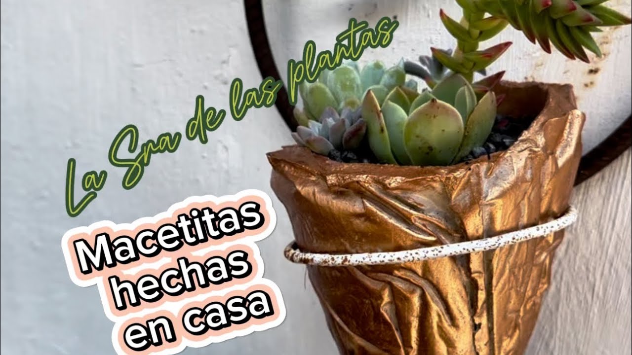 Cómo hacer Macetitas en casa fáciles y hermosas! - YouTube