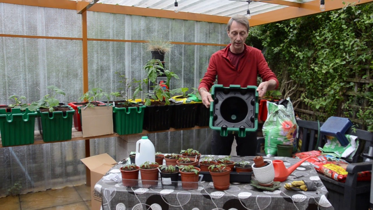 Oasesbox how do I use my Oasesbox - YouTube