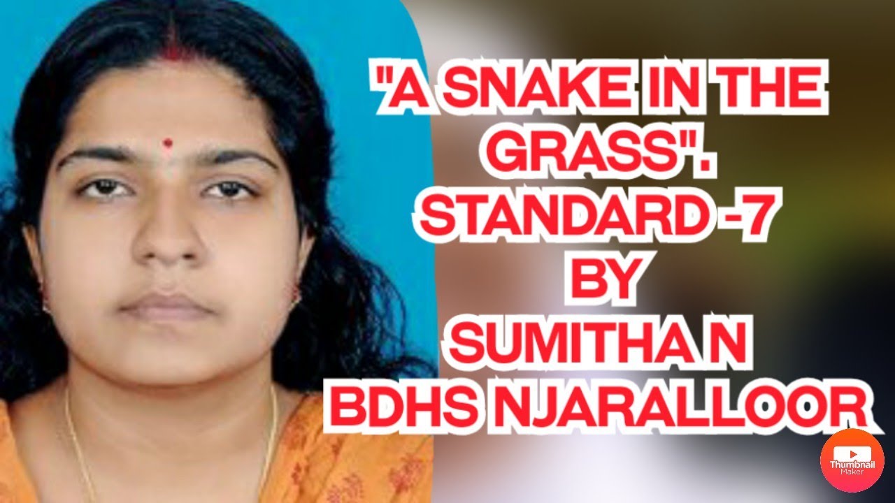 Standard 7 A Snake In The Grass YouTube standard-7-a-snake-in-the-grass-youtube