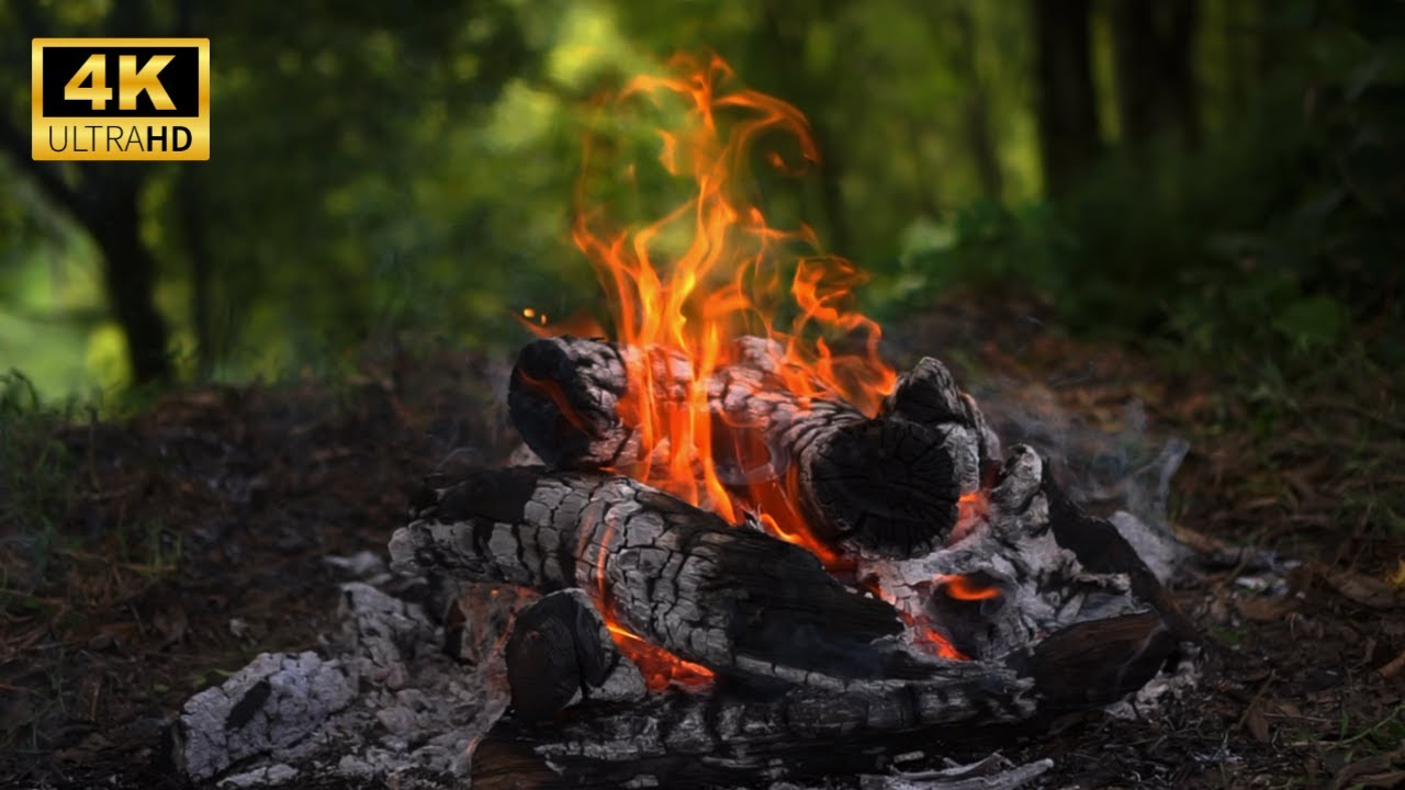 🔥 Cozy Forest Campfire 4K ULTRA HD! - Natural Ambiance & Crackling Fire ...