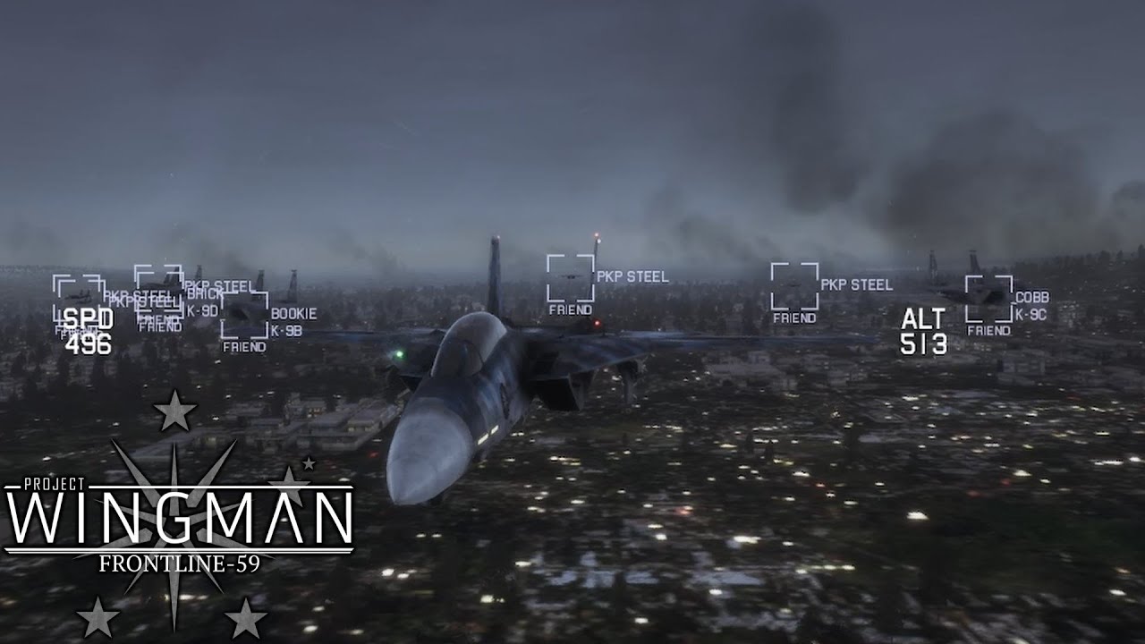 "Can we go home now" (Project Wingman: Frontline 59) - YouTube