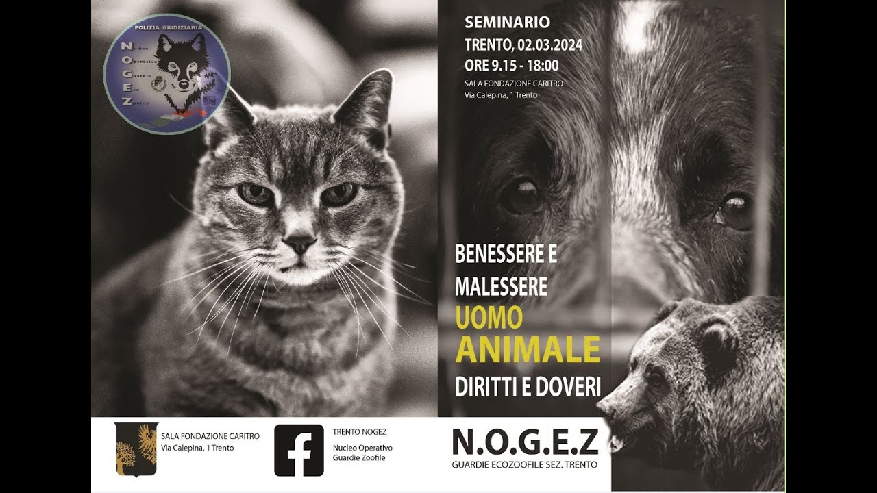 SEMINARIO- VIDEO 5 IRENE MAJA NANNI - YouTube