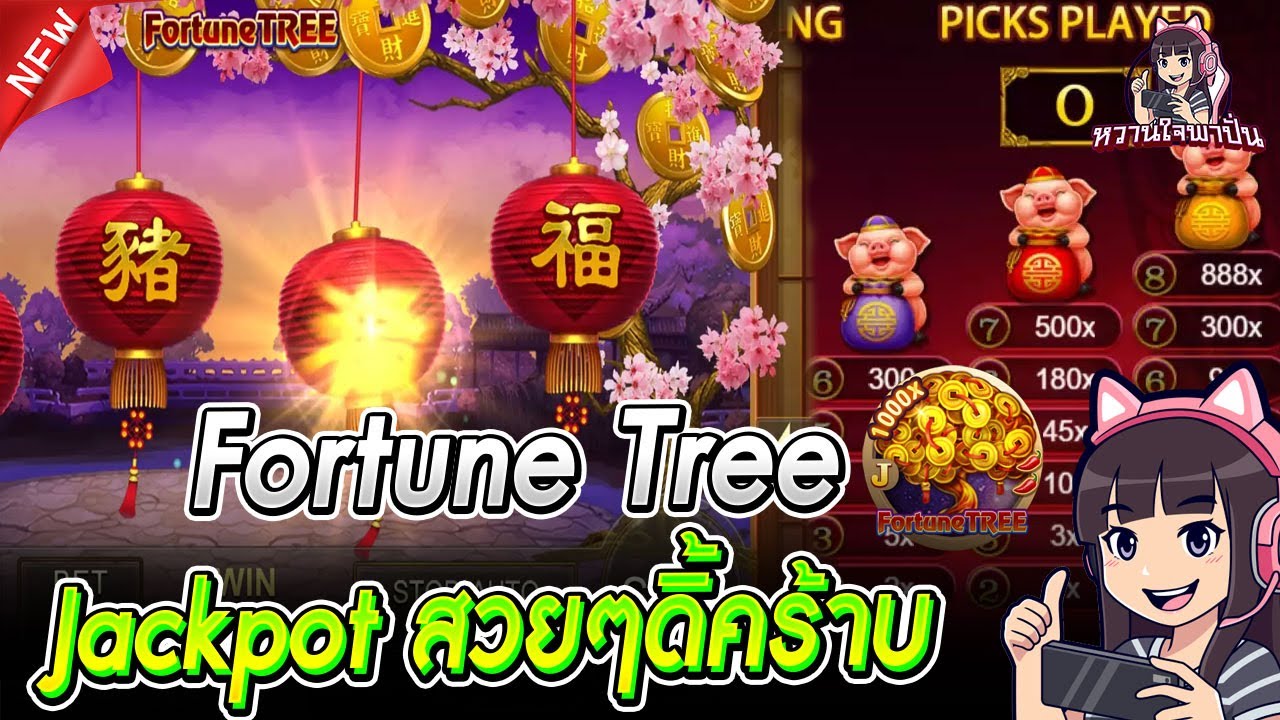 Fortune Tree Slot Jili ล่าสุด Jackpot สวยยยยย AMBBETUFA - YouTube