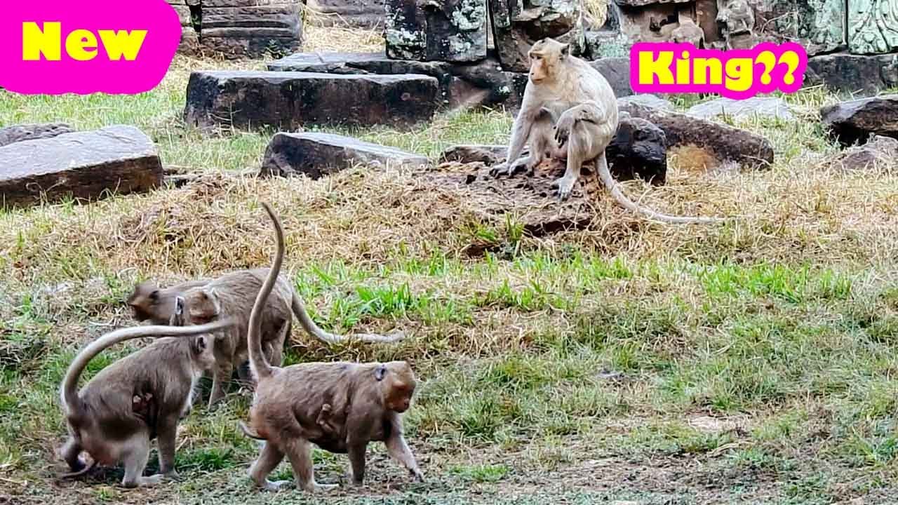 Who Is The King Now? Do All The Ladies Allow Sankra To Be King And ...