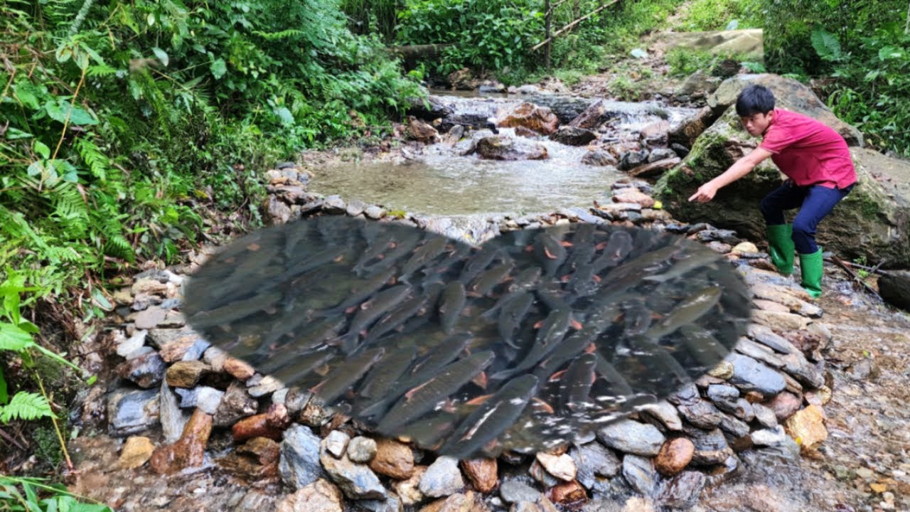 The boy cleverly arranged the stones in the stream together to create a ...