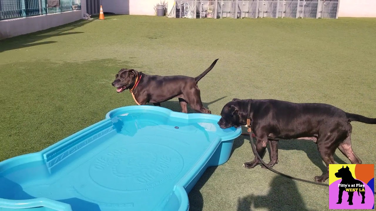 "Maia & Kaz" processed - YouTube