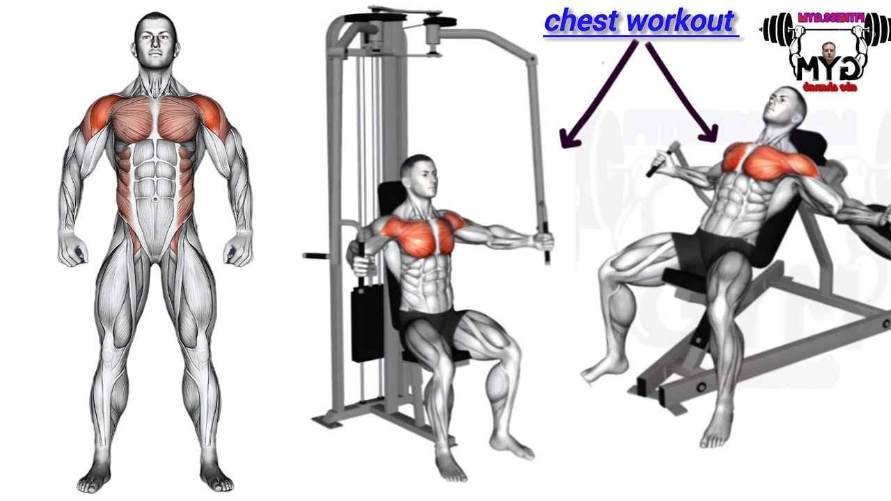 full chest workout at gym 🔥How to make your chest muscle bigger - YouTube