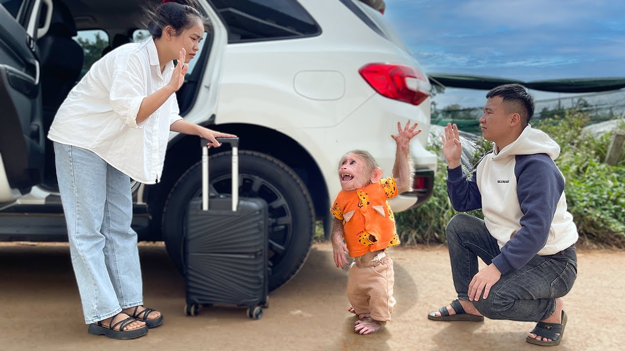 Cubis Monkey Sad, Reluctant Says Goodbye Auntie at Airport! - YouTube