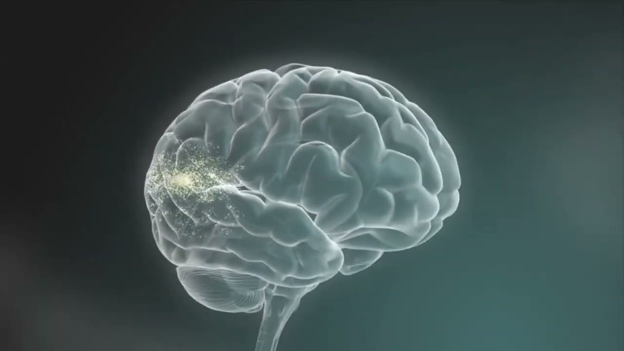 El campo neuronal Jacobo Grinberg - YouTube