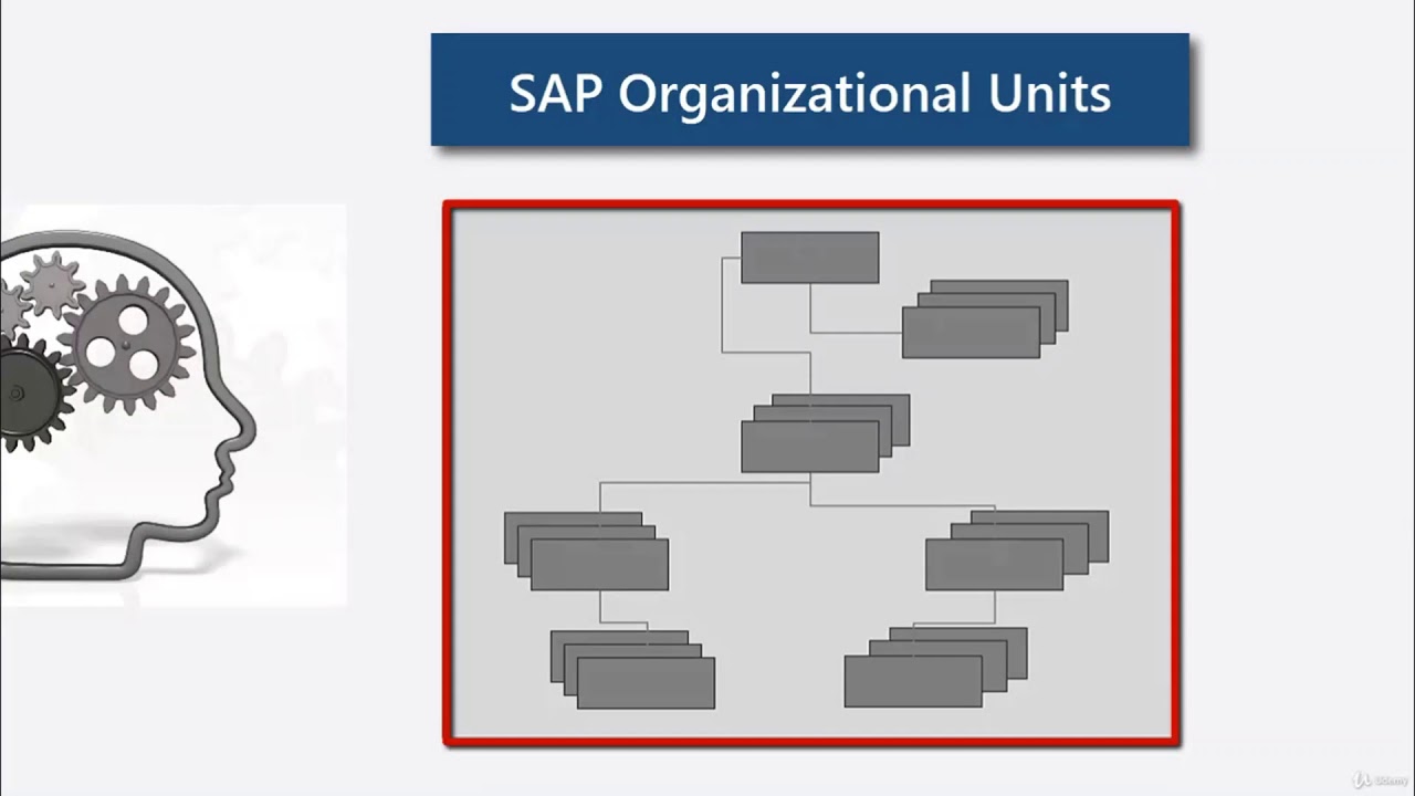 Mapping a Company in SAP ERP - YouTube