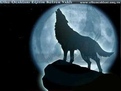 VATAN NAMUSTUR!