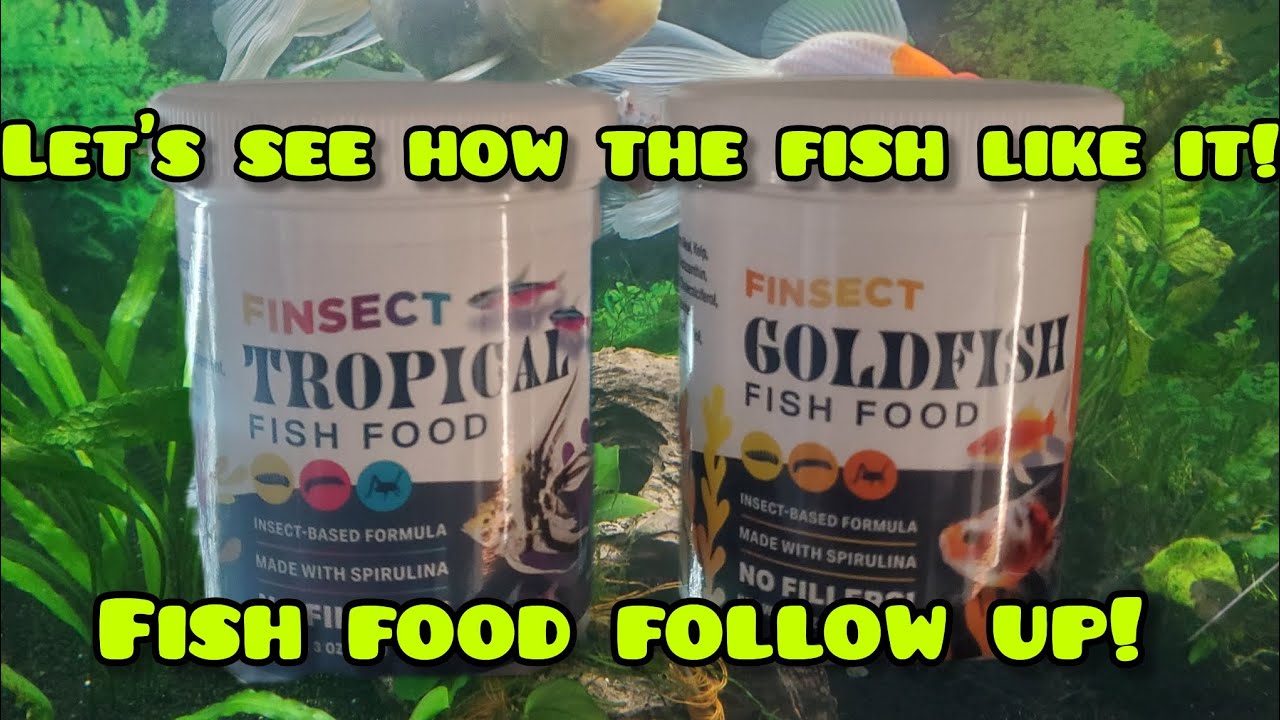 High quality fish food cheap! - YouTube
