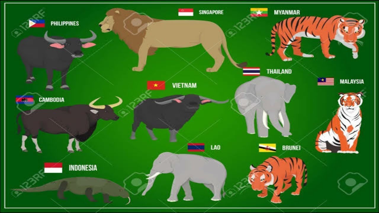 តោះមកស្គាល់សត្វតំណាងអោយប្រទេសទាំង១០ក្នុងតំបន់អាស៊ាន ASEAN National ...