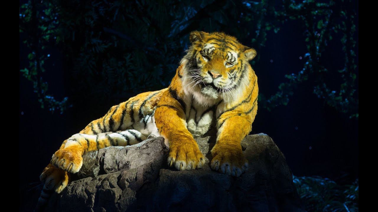 2016 WOW Awards Show: Behind the Scenes - Making of the Tiger - YouTube