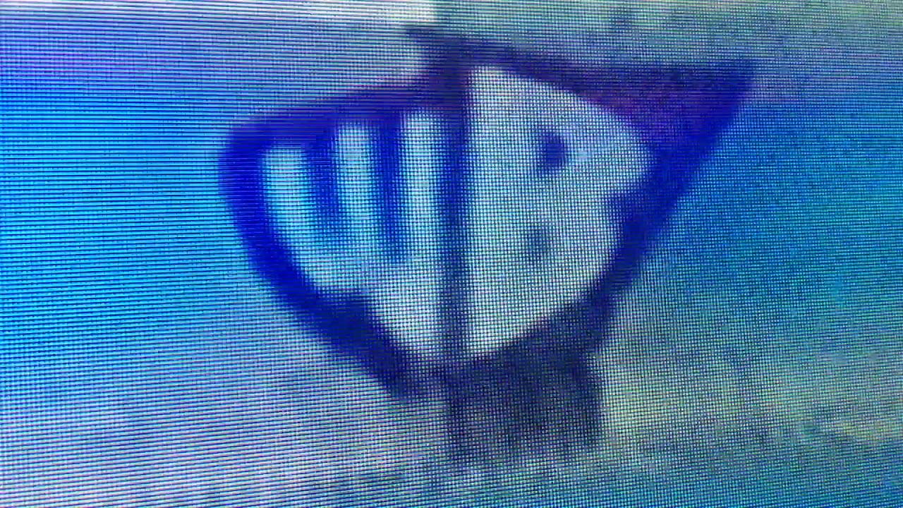 Kids WB Screen-Bug (2005) - YouTube