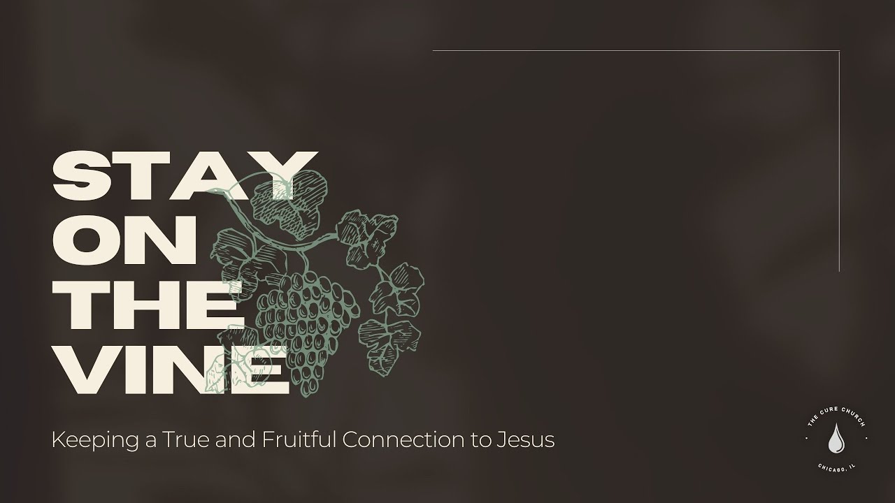 STAY ON THE VINE: Keeping a True and Fruitful Connection to Jesus - YouTube