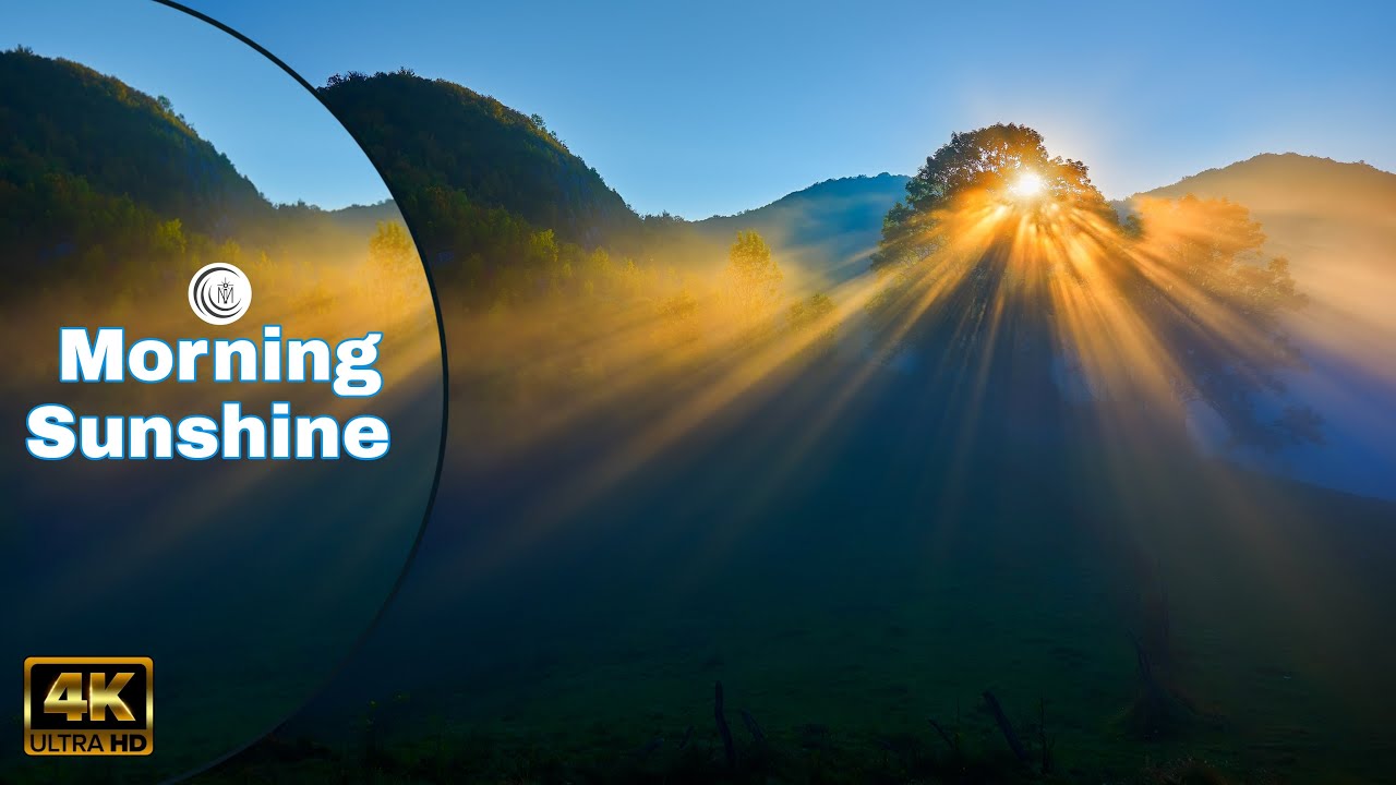 4K Nature Video : The Most Breathtaking Sunrise Video You’ll See Today ...