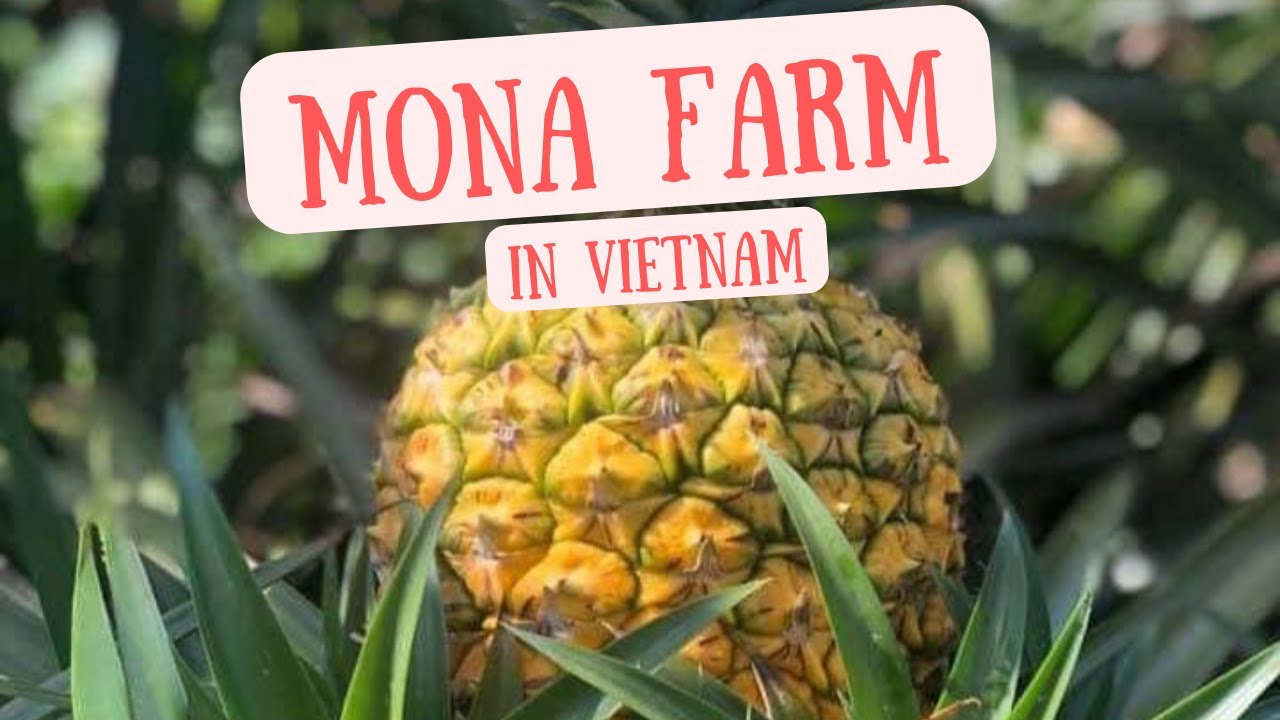 MONA FARM - YouTube