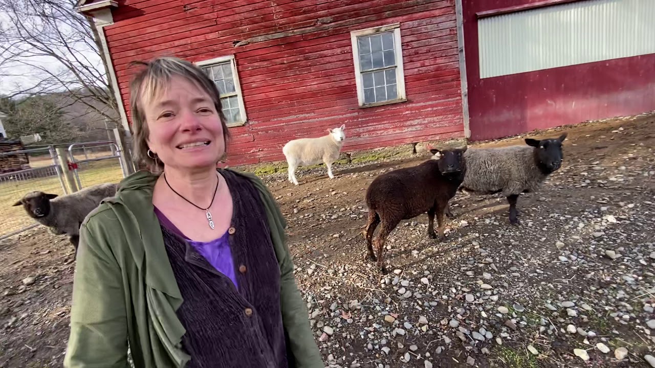 The Mansion Videos, Part One Bedlam Farm: Story Of The Sheep - YouTube