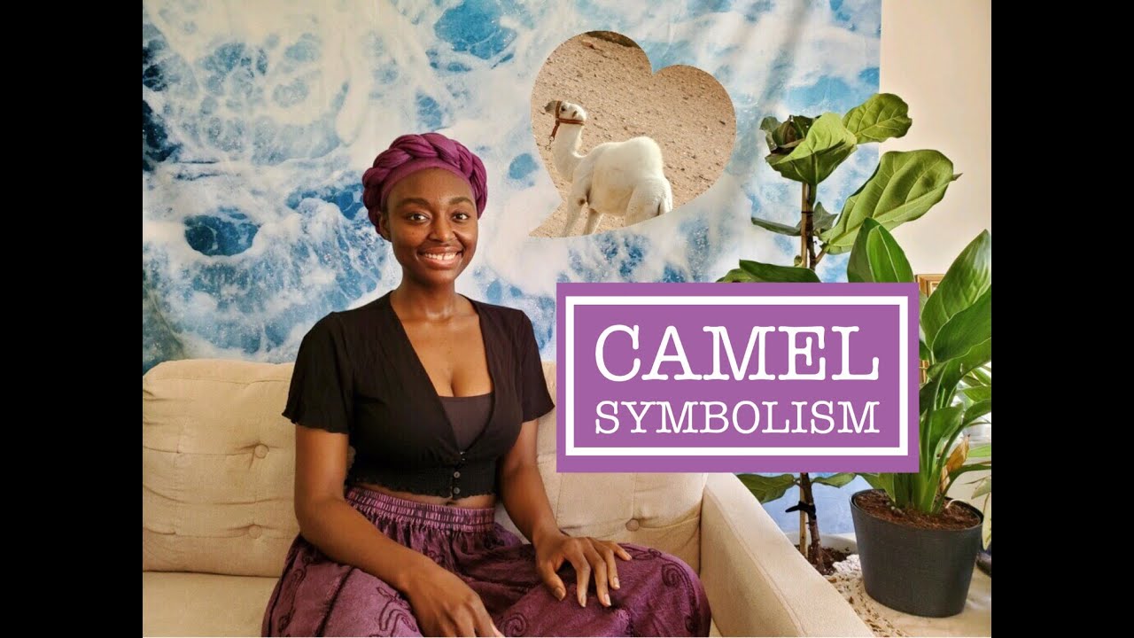 Camel Spirit Animal Totem | Self Sufficiency, Strength & Discoveries ...