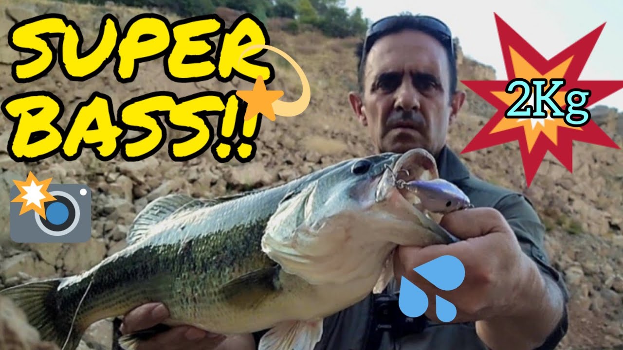 🤩SUPER BLACK BASS de 2 KILOS con CRANKBAIT DESDE ORILLA EQUIPO de ...