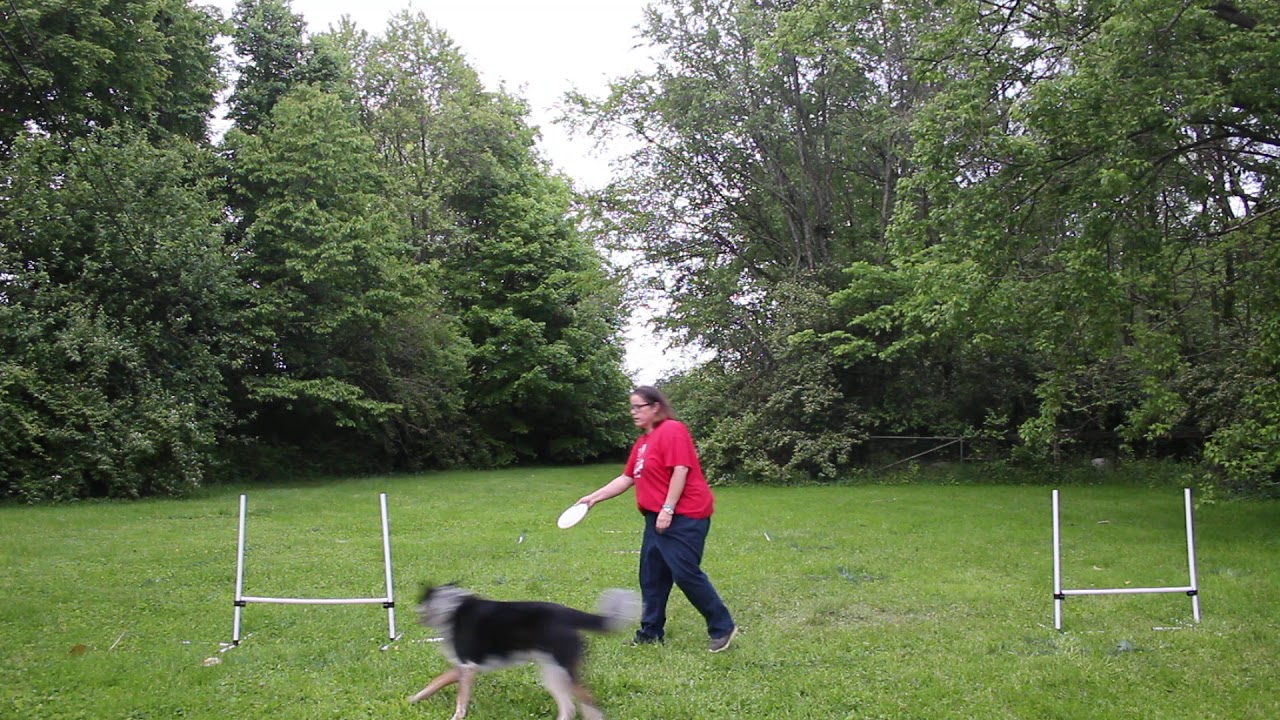 Denny's MinFrizz Run for UpDog Video Games 2020 - YouTube