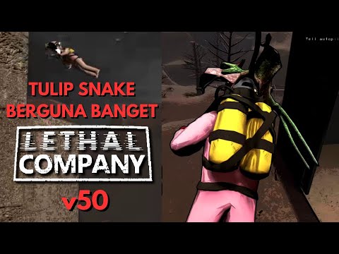 TERBANG DIBAWA TULIP SNAKE⁉️| Lethal Company Indonesia - YouTube