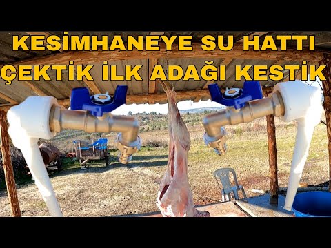 KESİMHANENİN AÇILIŞINI YAPTIK~ADAKLIK KUZU KESİMİ~SU HATTI ÇEKDİK~KÖY HAYATI SEVENLER