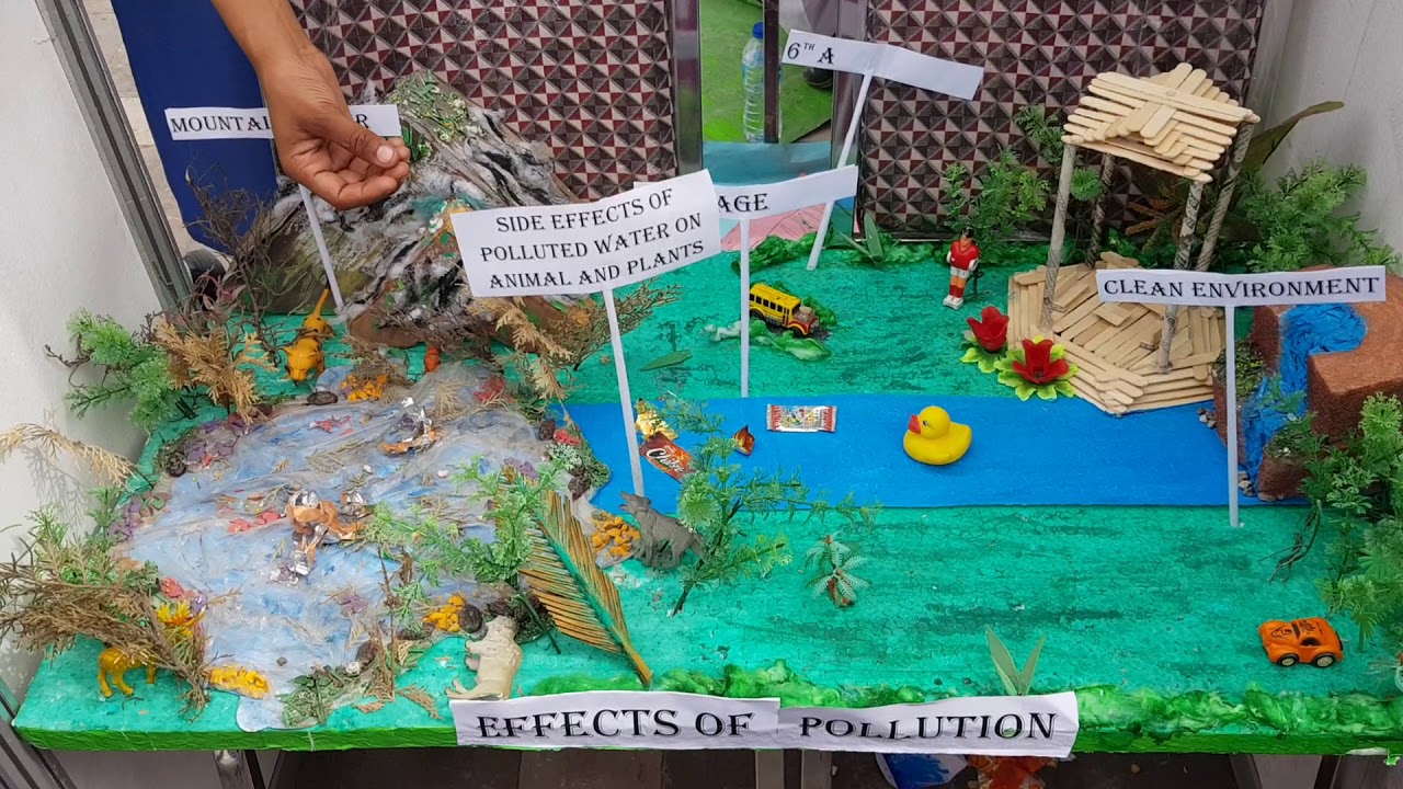 Effects of pollution model - YouTube