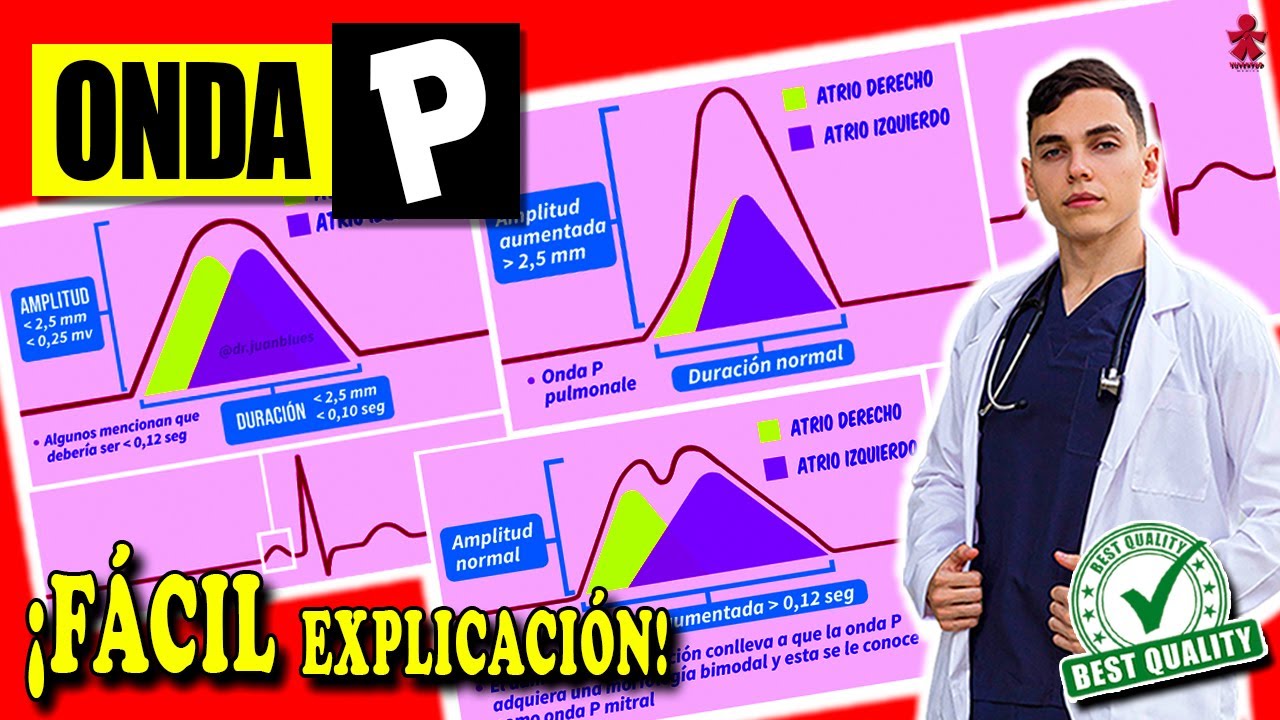 ELECTROCARDIOGRAMA : ONDA P ( duración, voltaje y morfología ) - YouTube