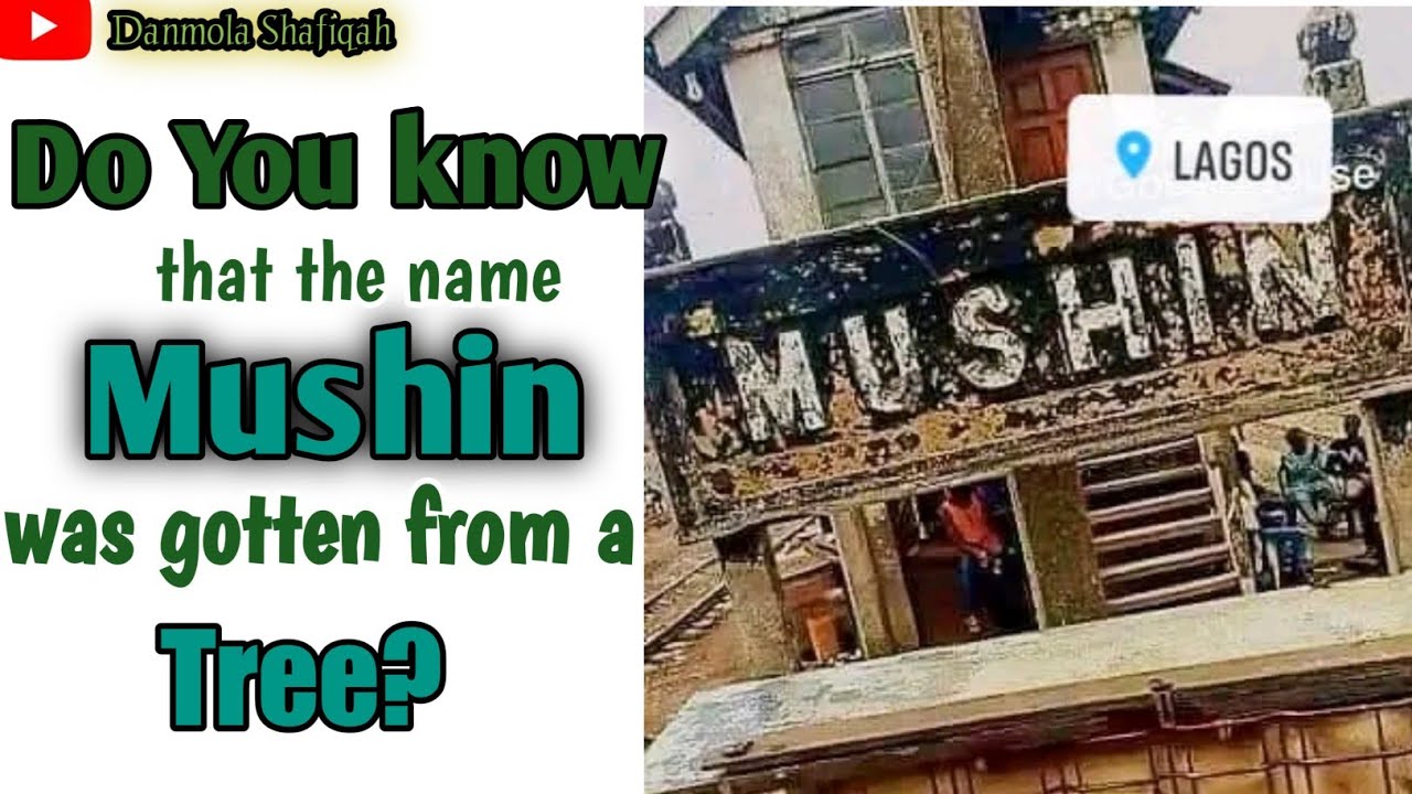 Do You know the name Mushin was gotten from a Tree?? - YouTube